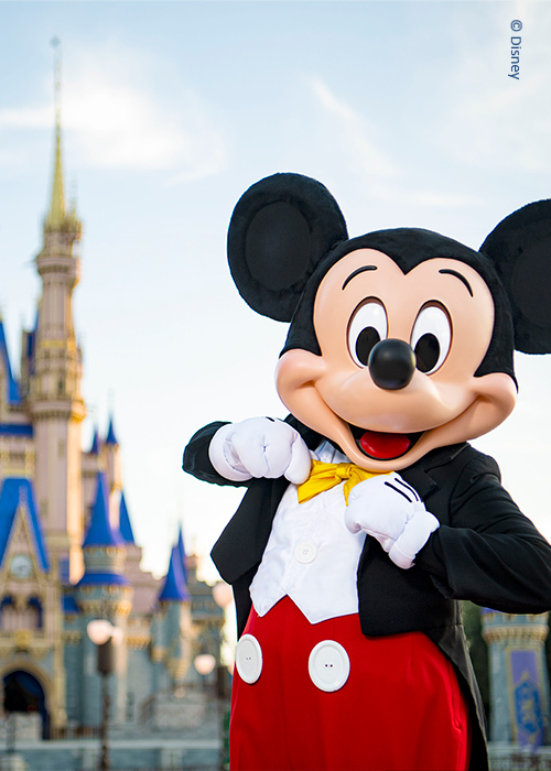 Disney Destinations International | Visit the USA