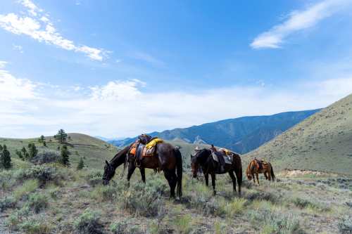 The Great American West | Visit the USA